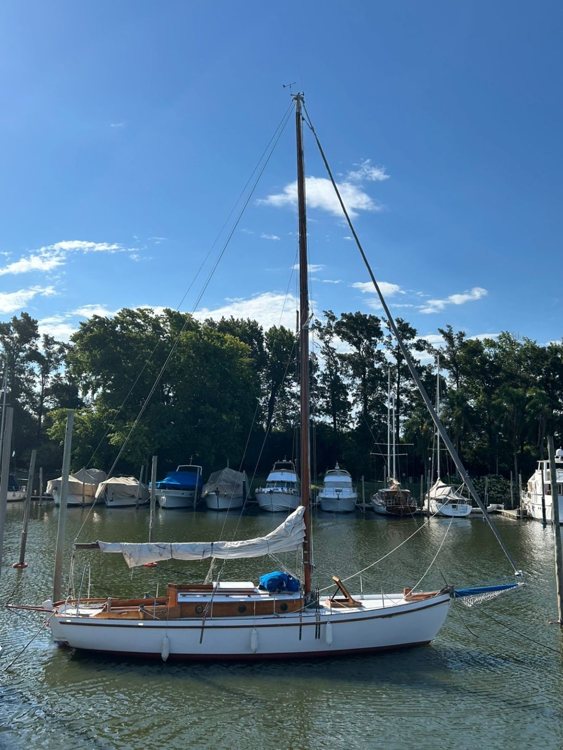 Cutter clásico Ortholan/ Baader – Finara